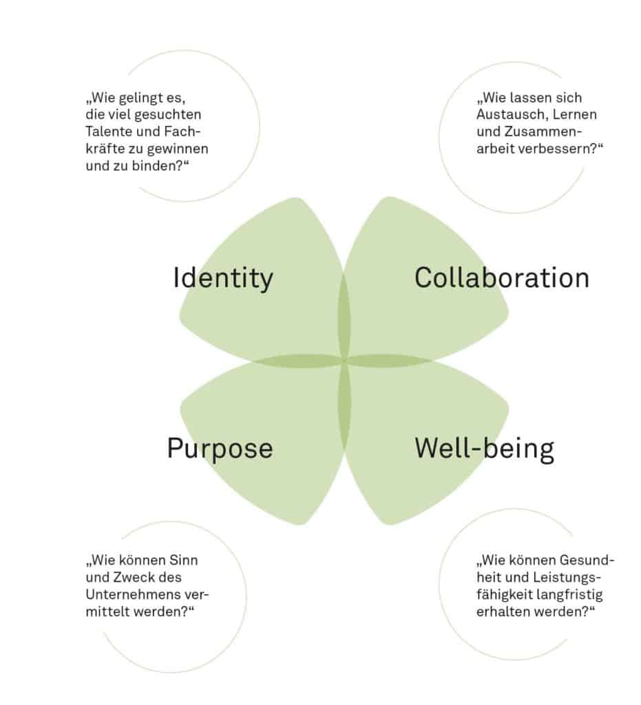 Human Centered Workplace - Stücker | Büroeinrichtungs GmbH | Kiel